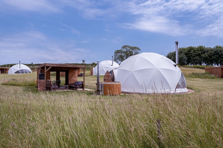 In The Stix (Dome 2 Barrow) - Stamford