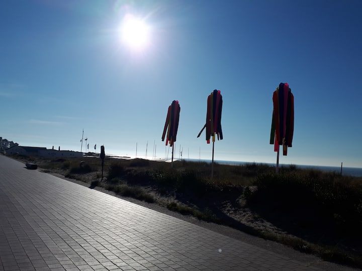 Pluk De Dag - Brygge