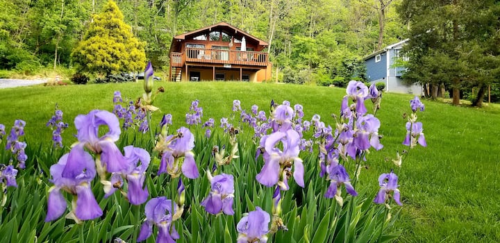 Spring Special! Private Shenandoah River Cottage - Shenandoah, VA