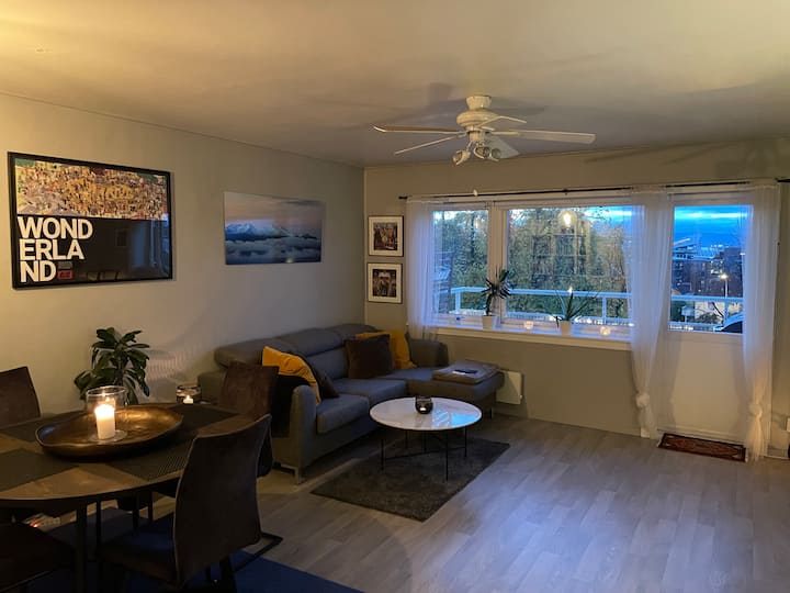 Top-floor Condo W/ Balcony Downtown Trondheim - Trondheim