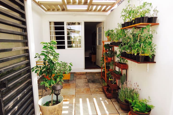 Little Green Paradise In The Heart Of Roma Norte - Mexico