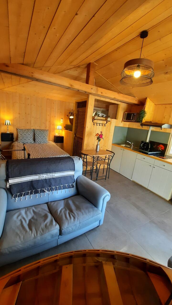 Studio Cabane Centre Ville  (Gare, Plage, Dune..) - Dune du Pilat