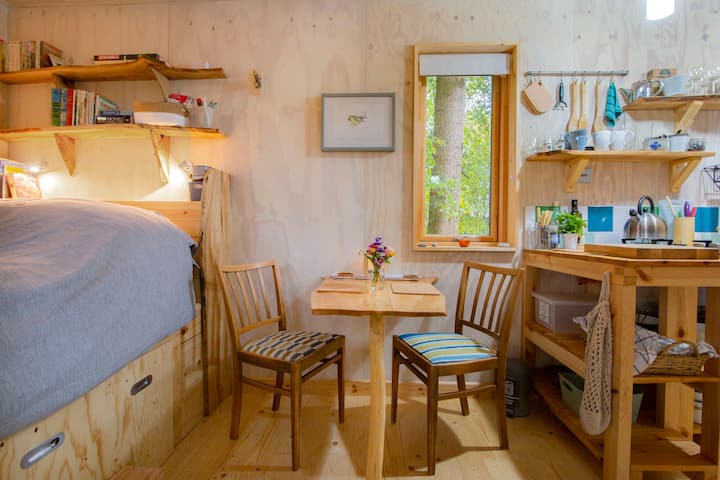 Cosy Forest Garden Eco Cabin, Black Isle - Beauly