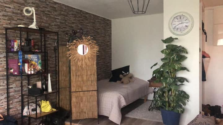 Kiva Yksiö Lähellä Keskustaa. - Lahti