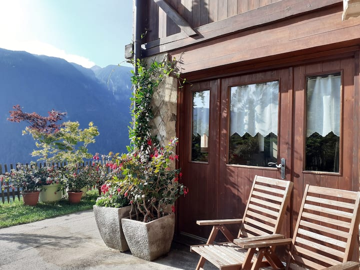 Baita Maso Del Bosco Vista Unica E Tanta Pace. - Madonna di Campiglio