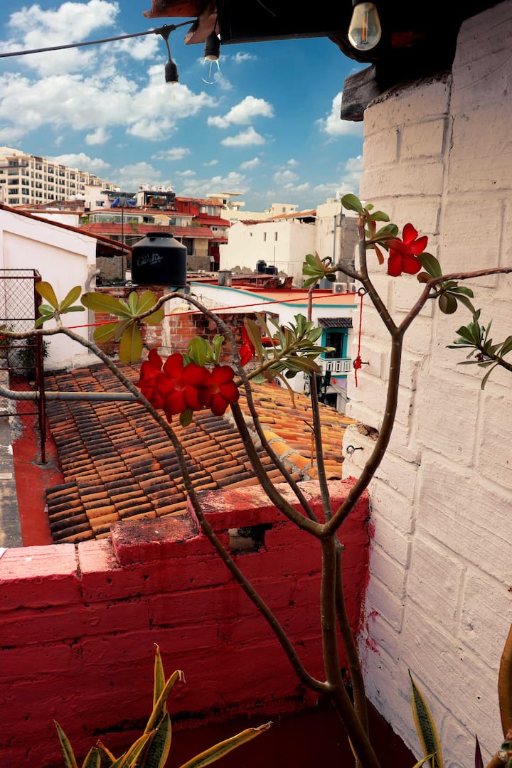 Casa Frida A 2 Minutos Del Malecón. - Puerto Vallarta