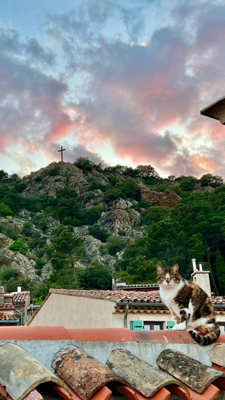 Charmante Maison De Village Avec Terrasse - La Garde-Freinet
