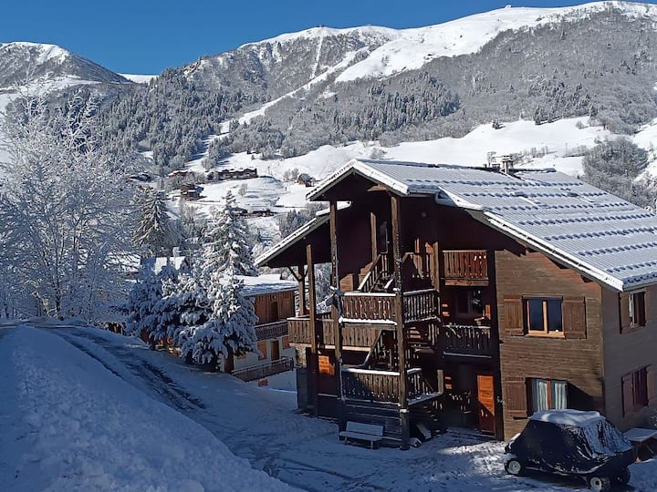 Appartement 200 M2 Dans Chalet à 400 M Des Pistes - 法國