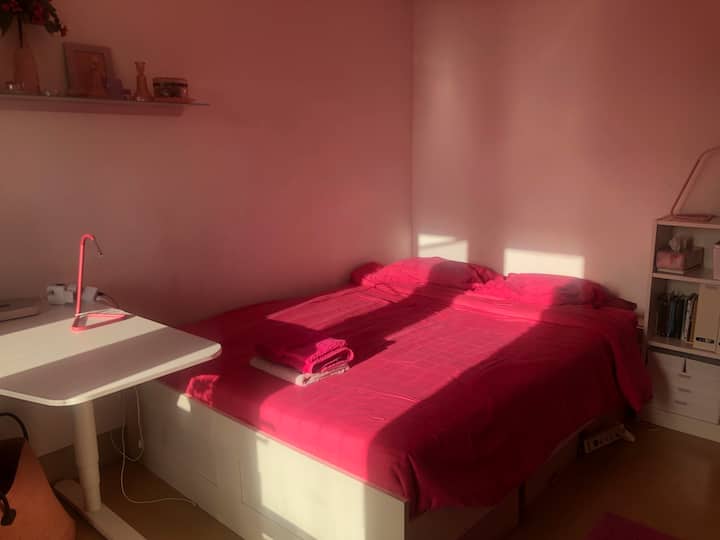 Room In Family Home Near C. Station - Anvers