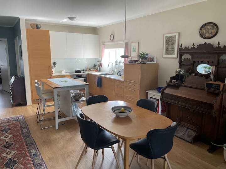 Cozy, Spacious Apartment By The Ocean Near Centre. - Iceland