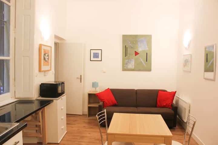 Studio Calme Près De Saint Nizier - ibis Lyon Gerland Musée des Confluences