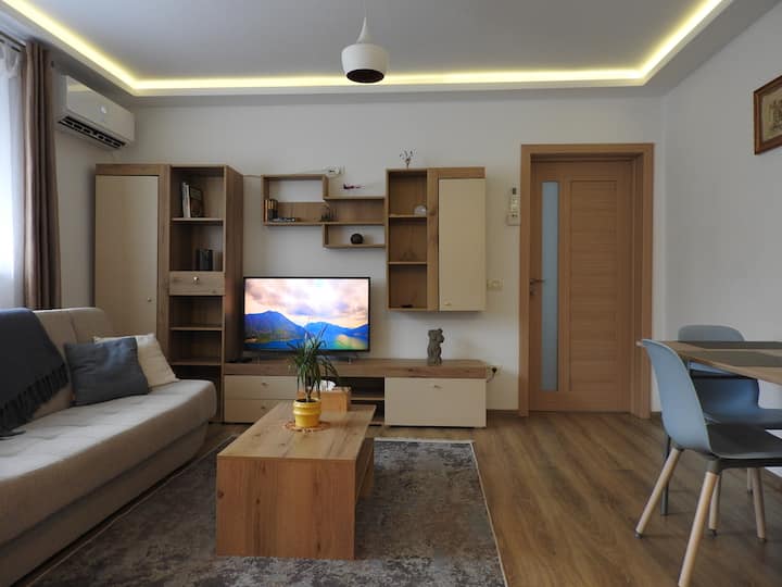 Confortable One Bedroom Apartment Close To Center - 클루지나포카