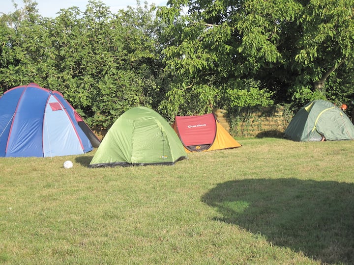 Les Prairies De Pacouinay, Camping Chez L'habitant - Marais poitevin