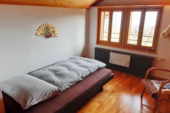 Switzerland House Rentals | Apartment and House Rentals | Airbnb