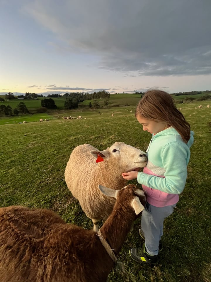 Jilly Park,farm Stay A Hands-on Farm Experience - Warragul