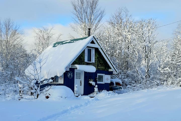 Winter Playground With Sauna* - Ontario