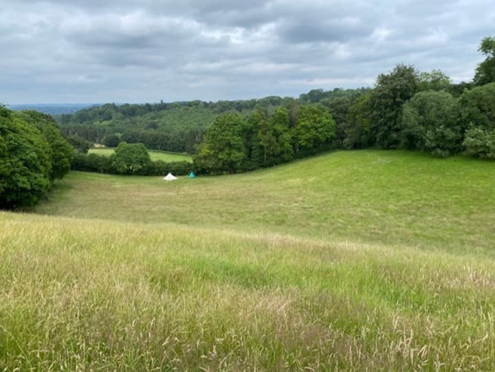 Your Own Campsite-secluded Field Inc Bell Tent - Guildford
