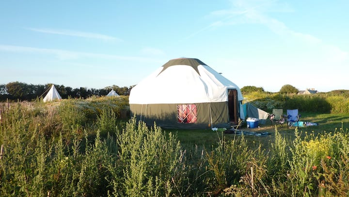 Celandine - Large Yurt - Kingsbridge