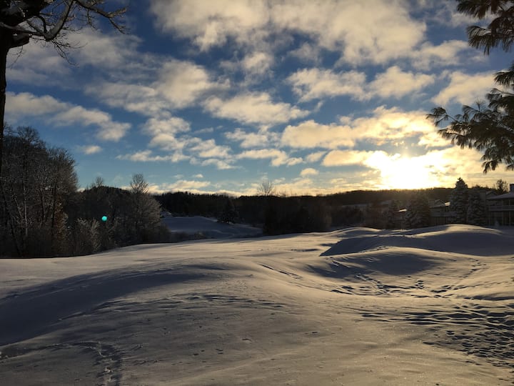 Chief Golf Cottage L 5 Star L Winter Escape - Torch Lake, MI