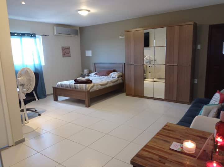 Peace Full Apartment! - Curazao