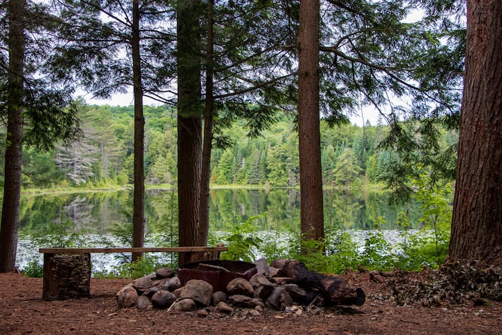 Mcreynolds 1 - Parc provincial Algonquin