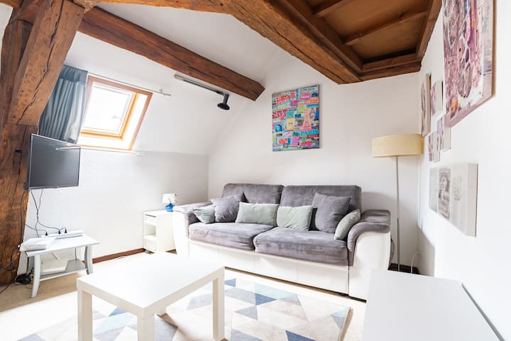 Vauban - Central Et Confortable - Dijon