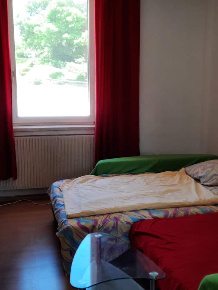 Schönes Großes Gemütliches Zimmer In Linz Zentrum - Linz