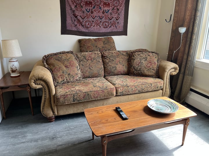 Sunny Apartment Near Queens Kgh - Kingston