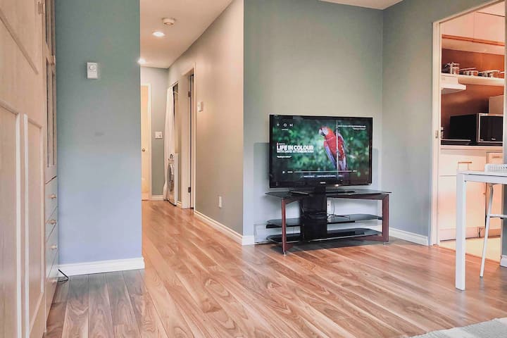 Garden Home In Popular Quiet Tree-lined Kitsilano - Vancouver