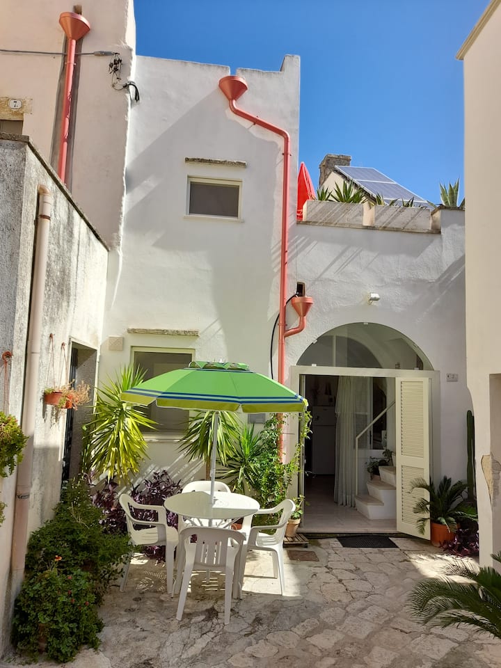 The Flowers' Corner: Typical House Near Gallipoli. - Ugento