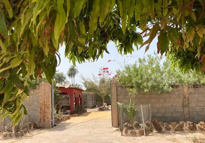 Laila Kunda - Gambia