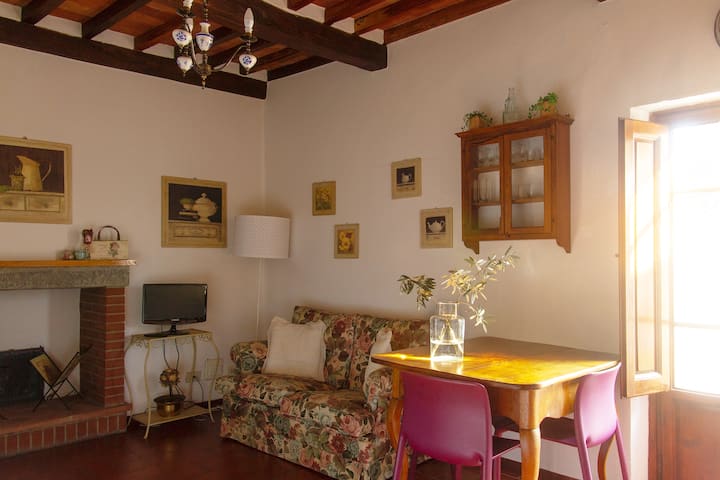 Rosso Del Chianti Al Centro Storico 2 - Radda in Chianti