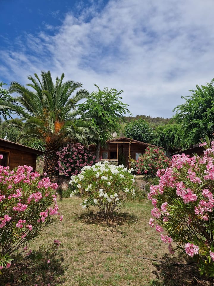 Chalet Climatisé Deux Chambres Vue Mer - Coti-Chiavari