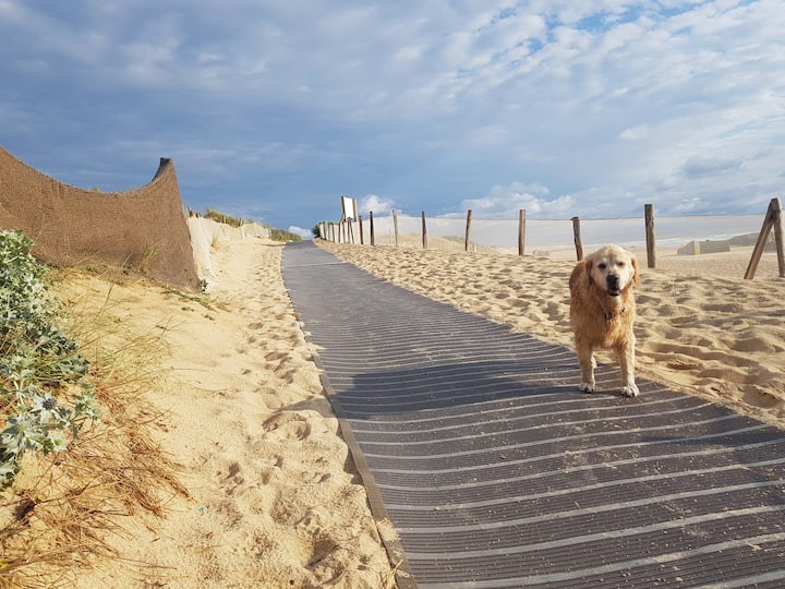 Cocooning Et Plages - Capbreton