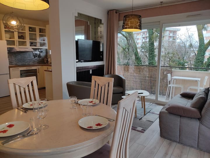 Charmant T2 Entièrement Rénové Centre Ville Annecy - Annecy