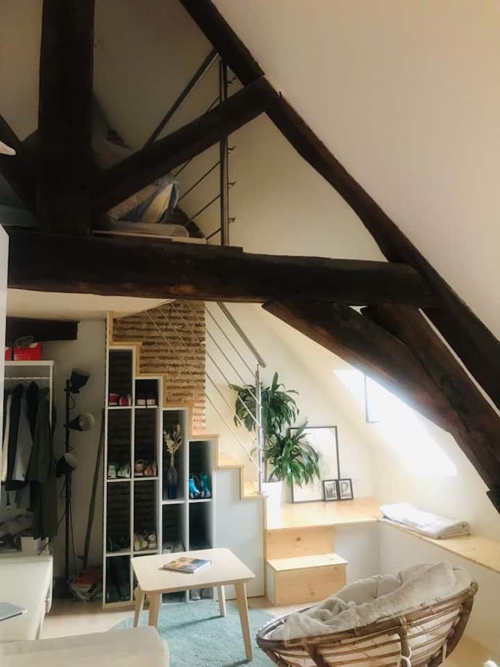 Grand Studio De Charme En Hypercentre Mezzanine - Nantes