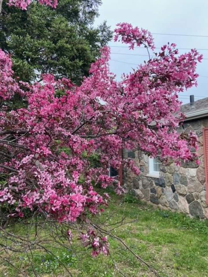Paradise- Beautiful Eastern Township Cottage. - Bromont