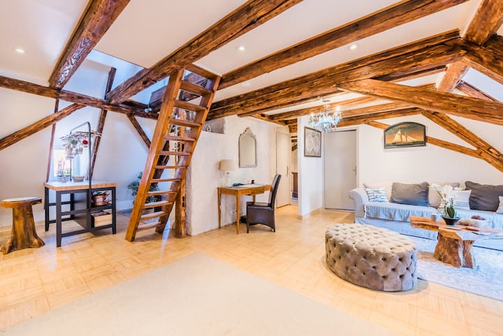 Charmant Duplex Centre Historique De Strasbourg - Strassburg