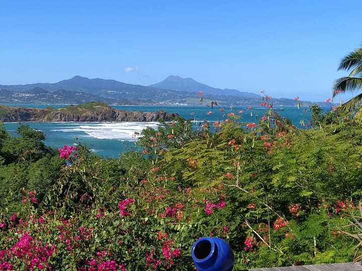 Villa Créole De Charme - Martinique