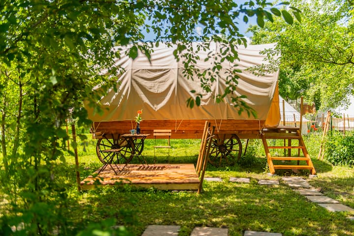 Surprise Wagon In A Magic Urban Zone - Brașov