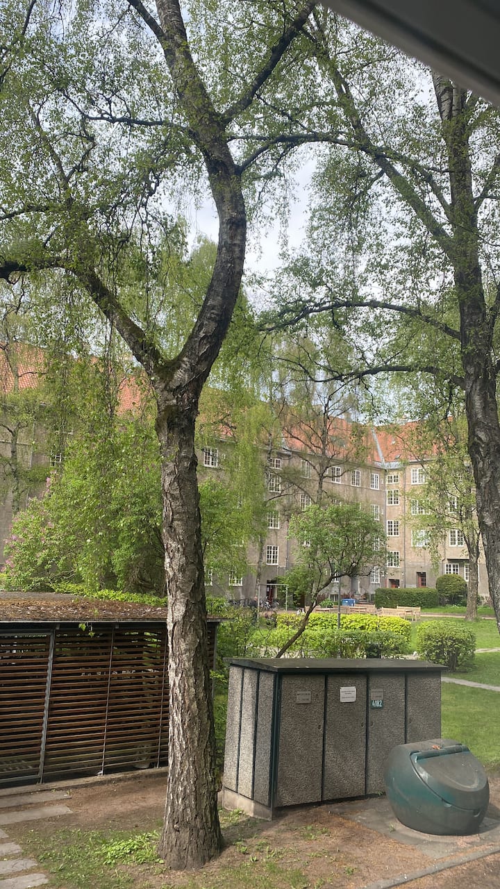 Rom Til Leie I 3-roms Leilighet. - Oslo