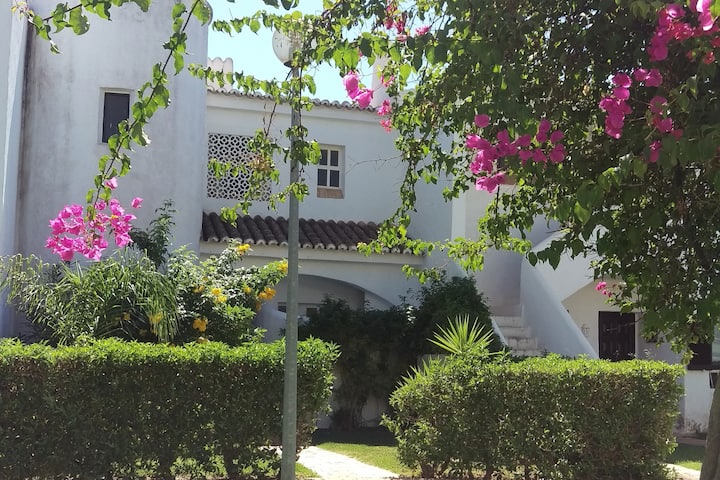 Petit Coin De Paradis Sous Le Soleil De L'algarve - Porches