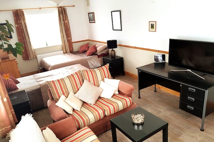 Place:3 Adults, Breakfast, Own Bathroom,kitchette - Limerick, Ireland