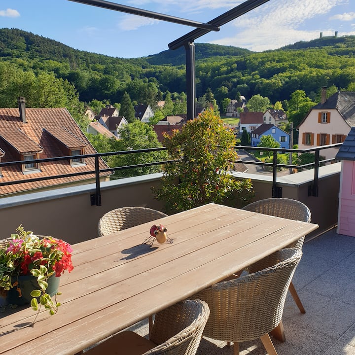 Appart Familiale 94m2 Terrasse 60m2 Vue Panoramiqu - Obernai