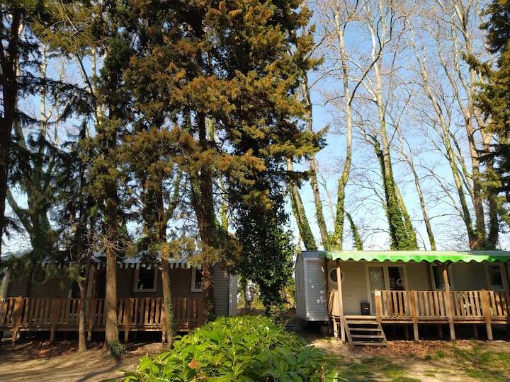 Deux Bungalows Côte à Côte Avec Terrasse - 12 Pers - Eyguières