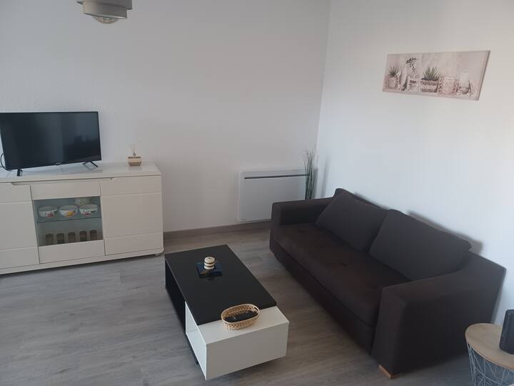 Agréable T2 De 47m² - ibis budget Saint Paul Les Dax