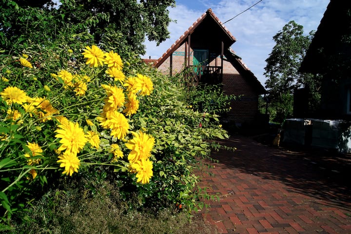 Unter Der Eiche - Burg Spreewald, Alemania