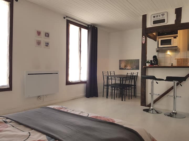 Charmant Studio En Centre-ville - Fontainebleau