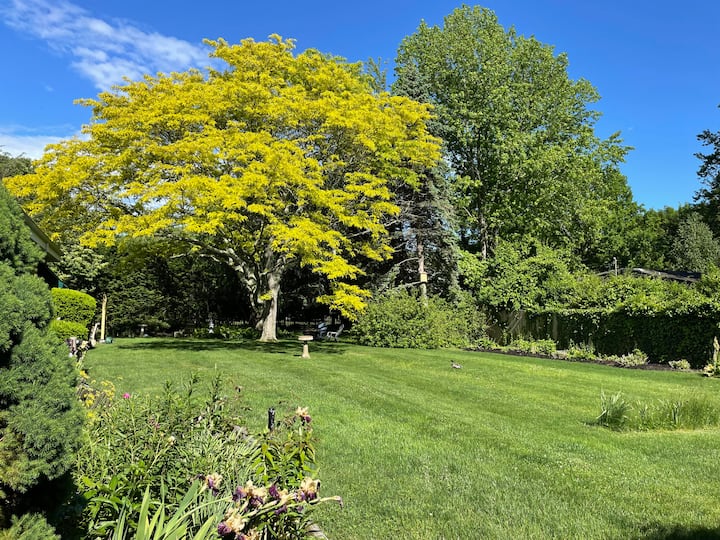 Perfect Cutchogue/southold Northfork Vacation Home - Southold, NY