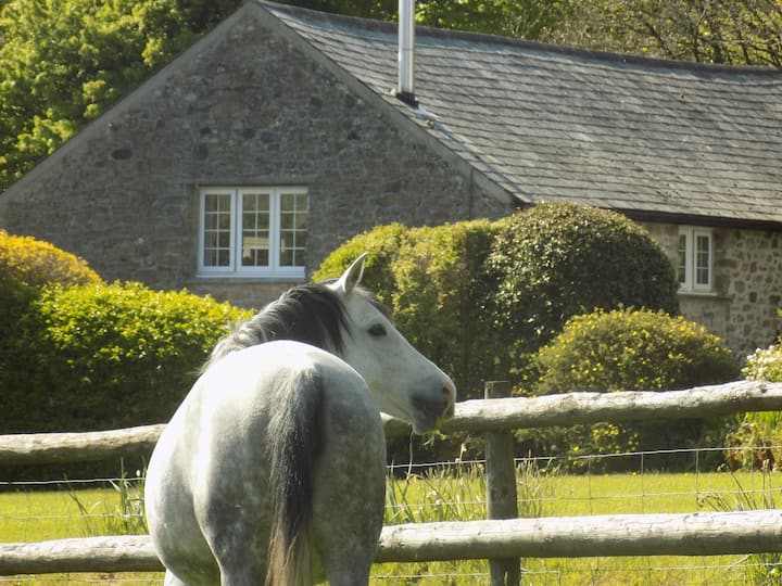 10% Off 7 Night Stays For Couples - Tavistock